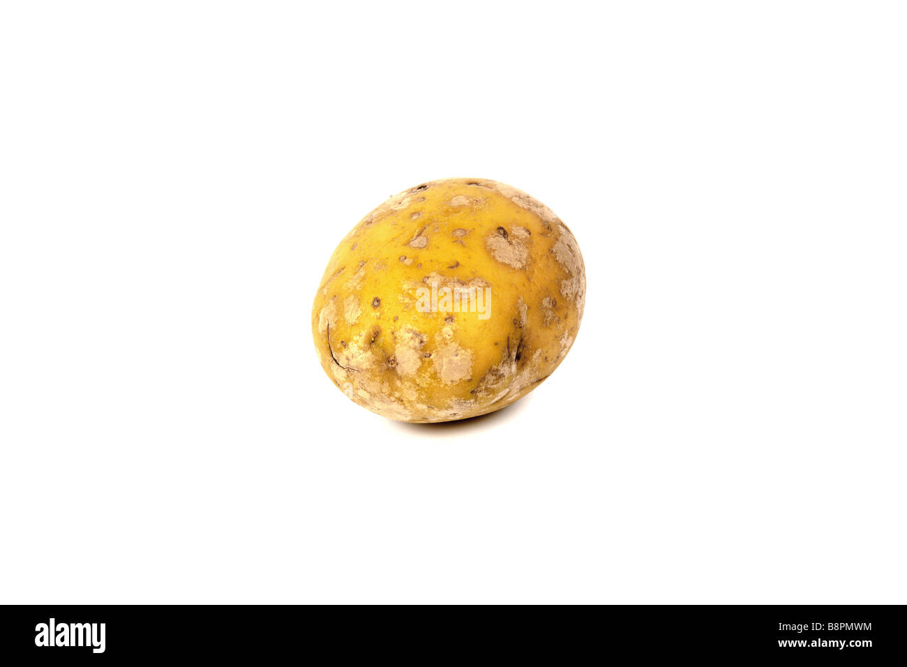 White potatoes staple food of the western world against a white ...