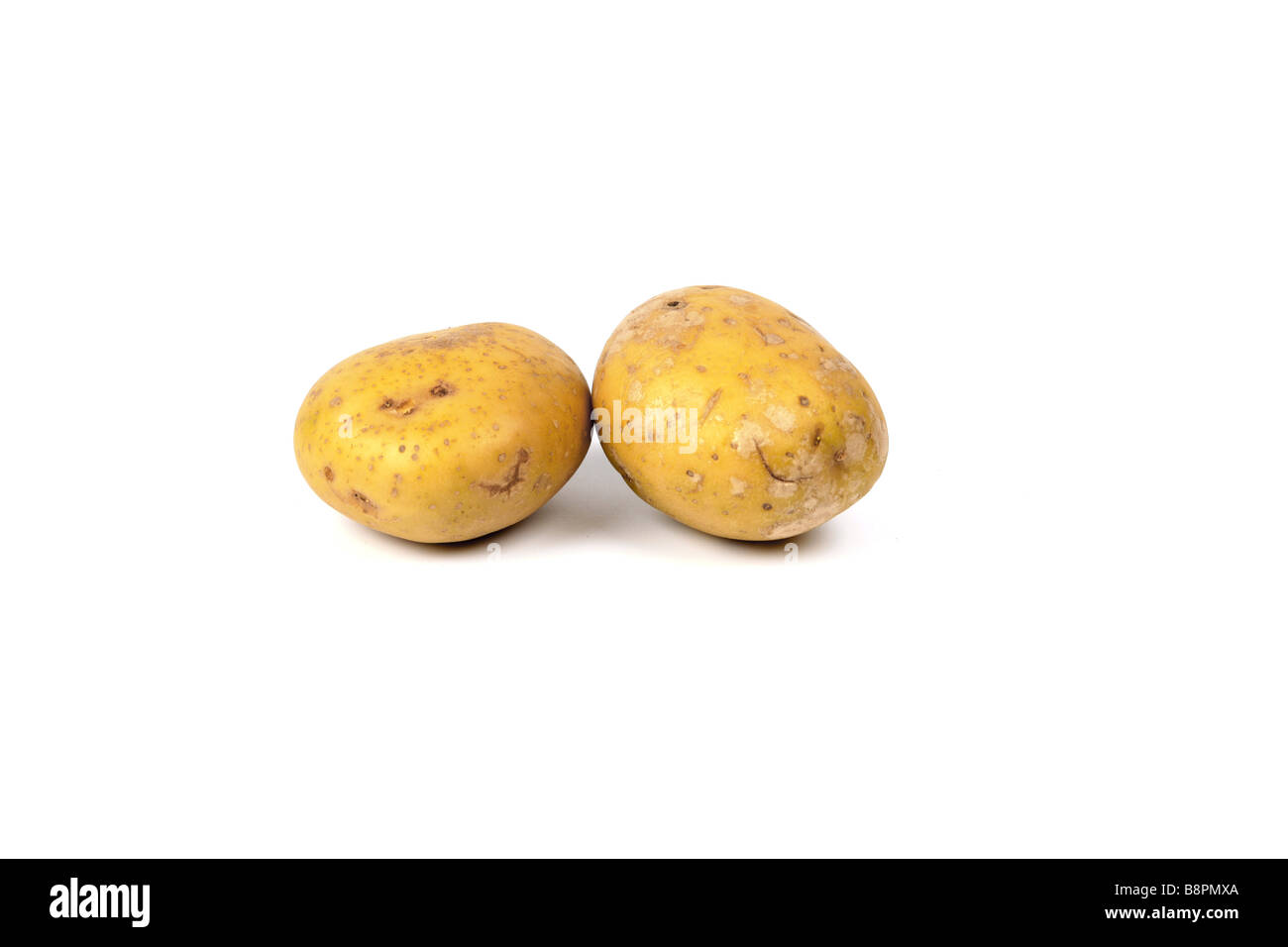 White potatoes staple food of the western world against a white ...