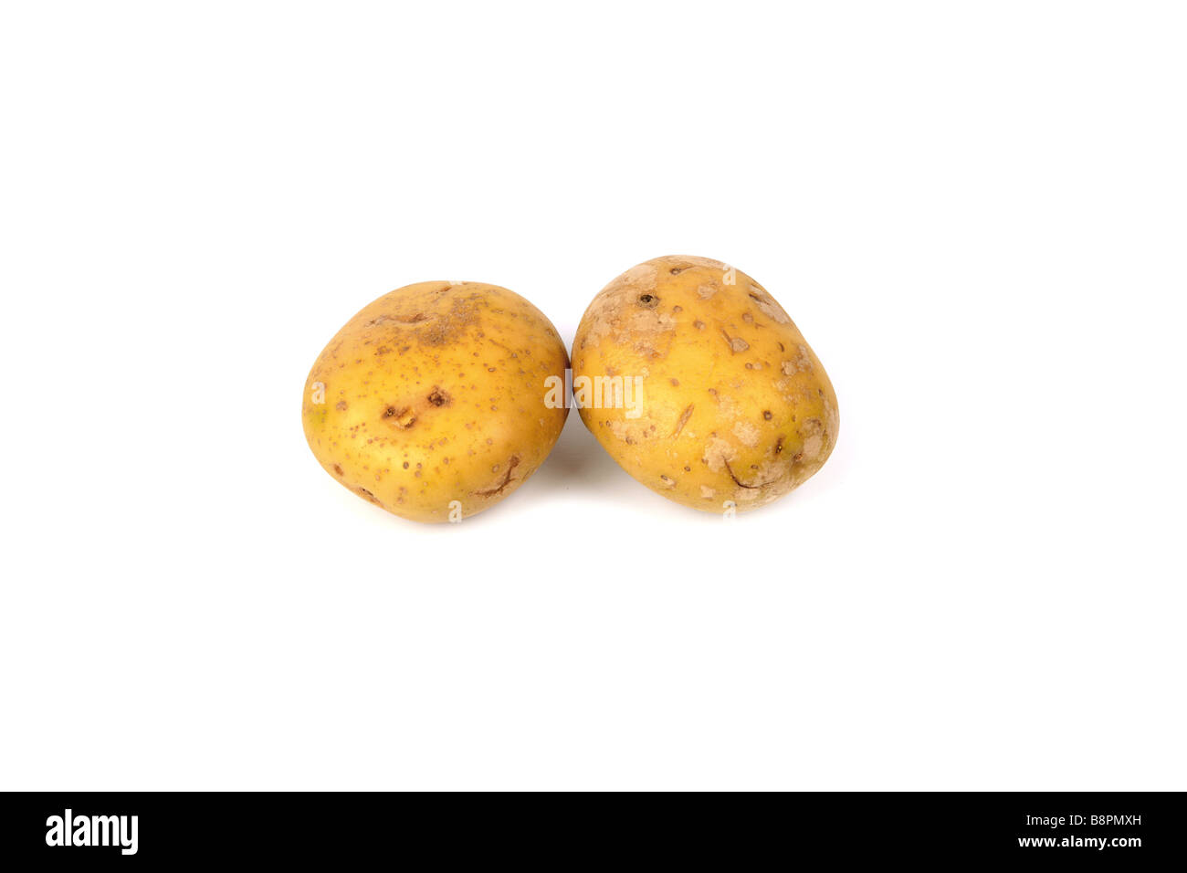 White potatoes staple food of the western world against a white ...