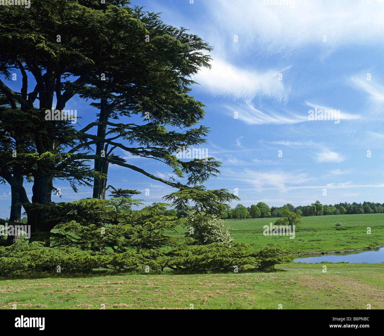 Attingham park hi-res stock photography and images - Alamy