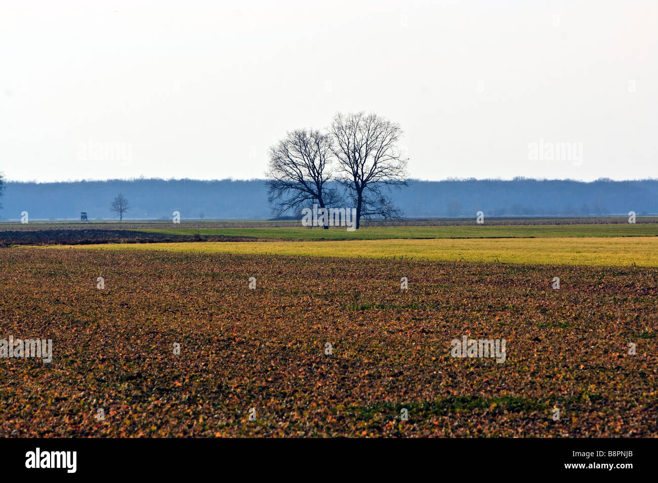 Slavonia field hi-res stock photography and images - Alamy