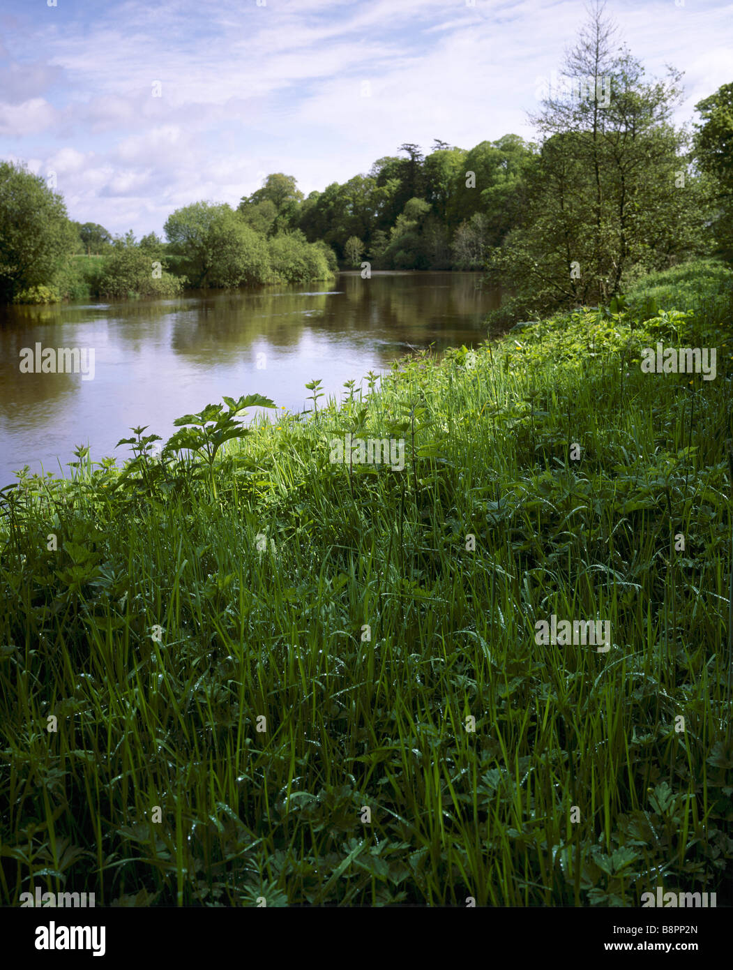 Watery scenes hi-res stock photography and images - Alamy