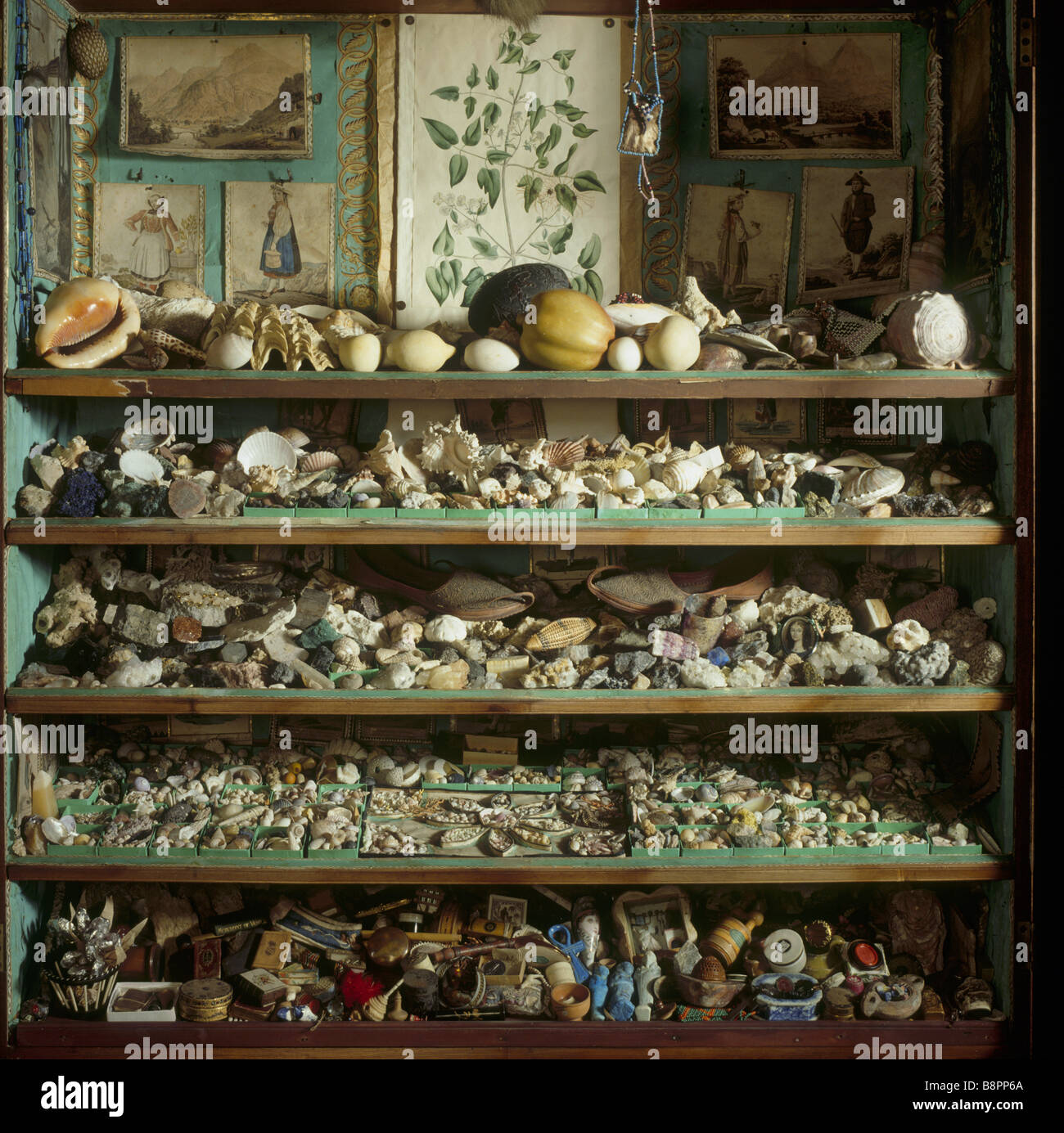 Cabinet Of Curiosities High Resolution Stock Photography and Images - Alamy