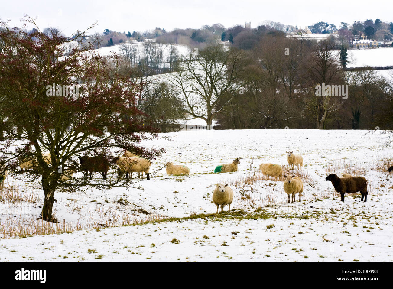 Lower swell, cotswolds hi-res stock photography and images - Alamy