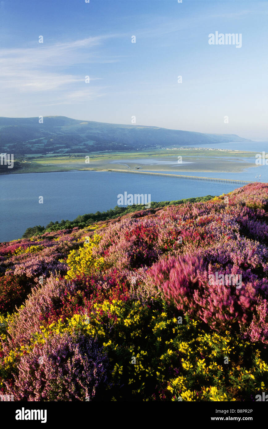 Cae hi-res stock photography and images - Alamy