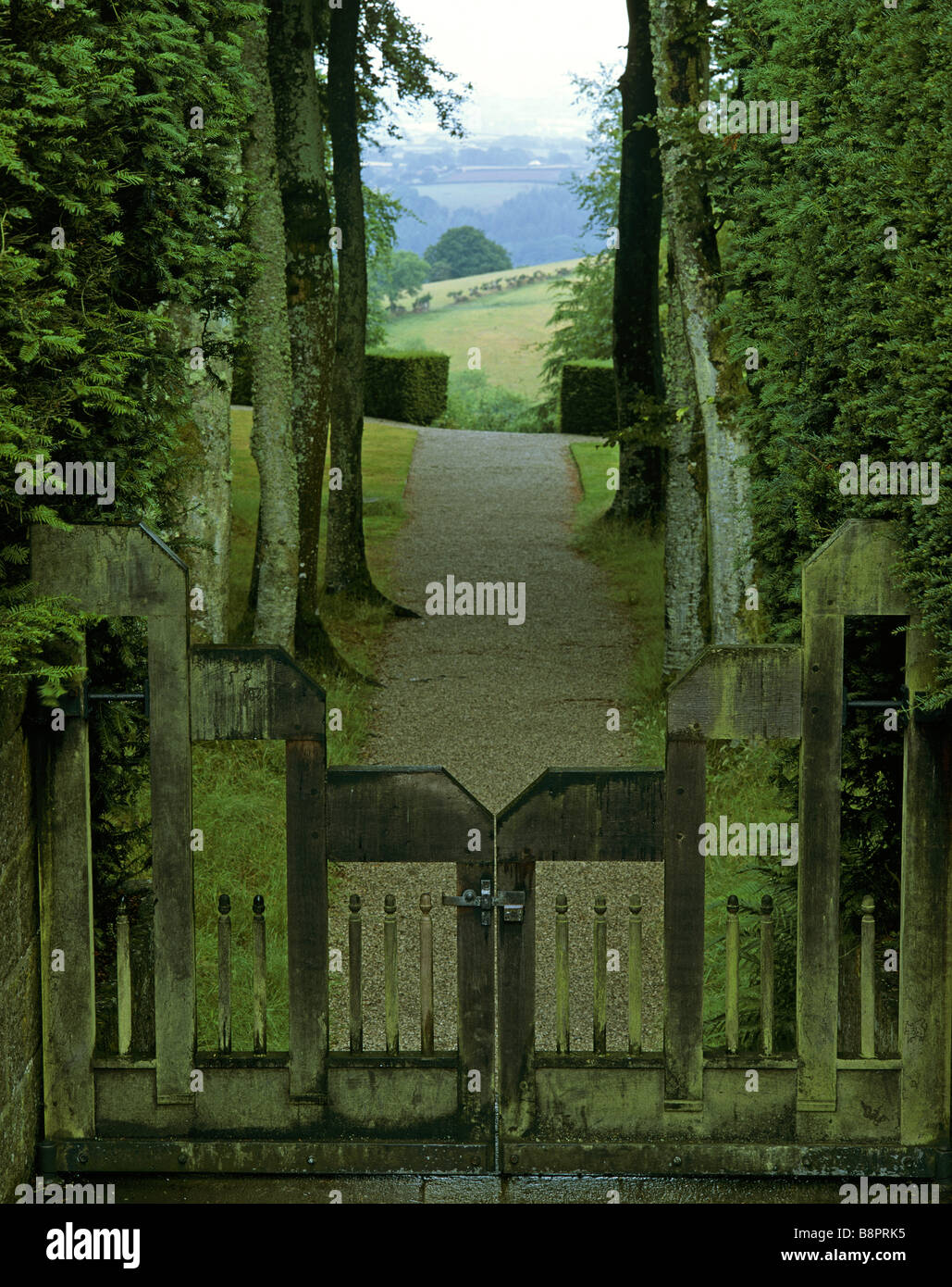 A wooden gate leading to a gravel path between tall trees with a view ...
