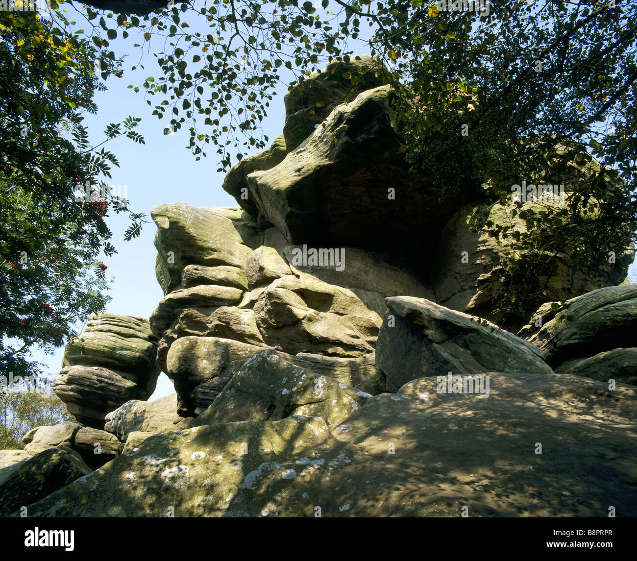 Looking up at the strange rock formations at Brimham Rocks Harrogate ...