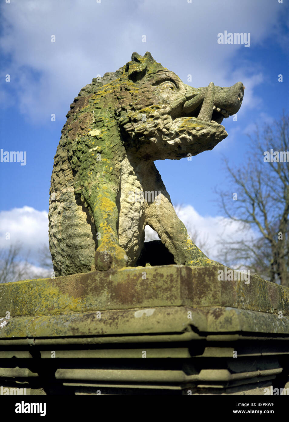 Mossy stone heraldic beast Boar at the entrance to Charlecote Park ...