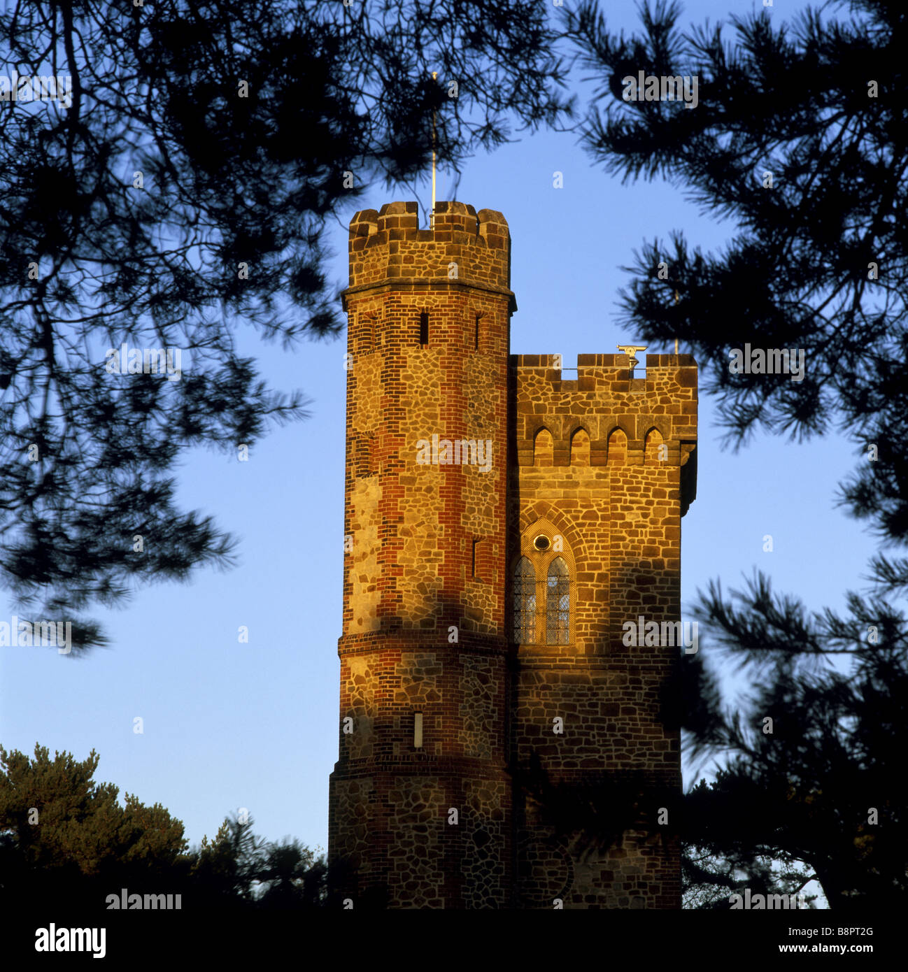 Glimpse through trees of Leith Hill Tower Surrey Stock Photo - Alamy