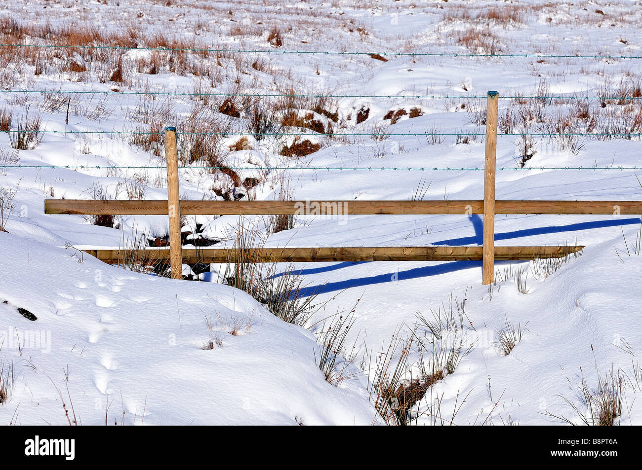Divis mountain hi-res stock photography and images - Alamy