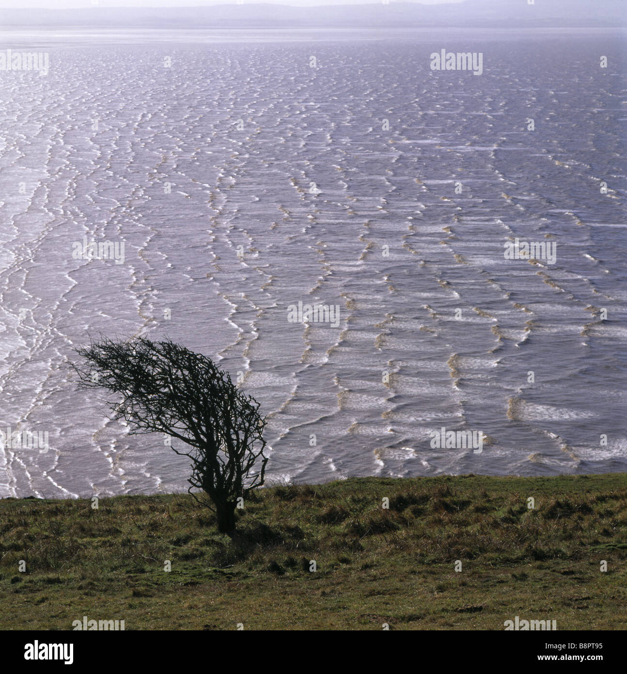 Brean down somerset coastal hi-res stock photography and images - Alamy