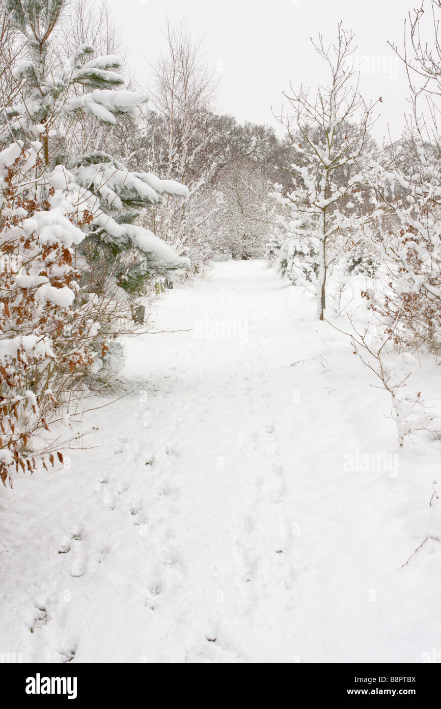 Covered footpath hi-res stock photography and images - Alamy