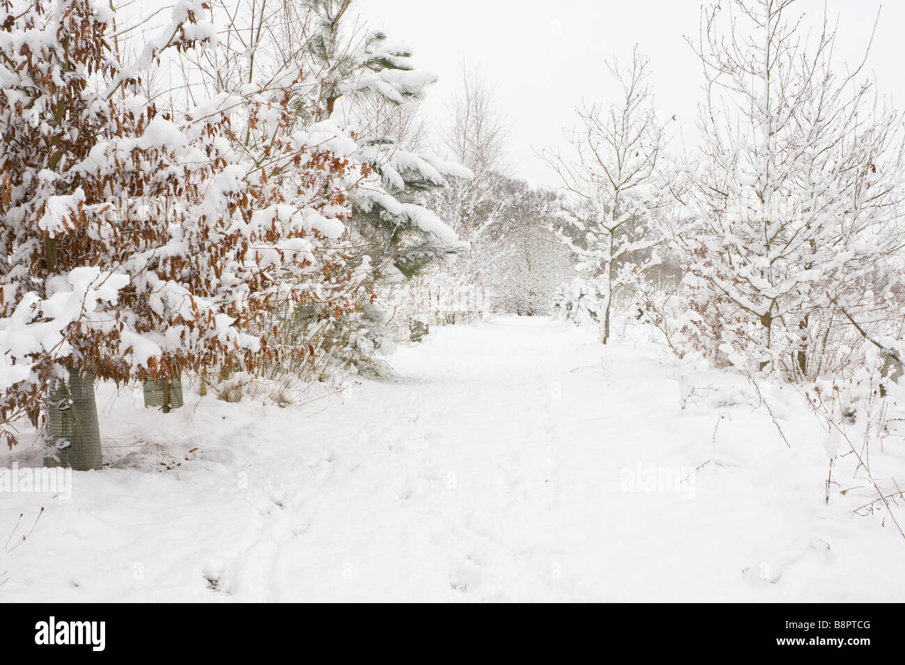 Covered footpath hi-res stock photography and images - Alamy