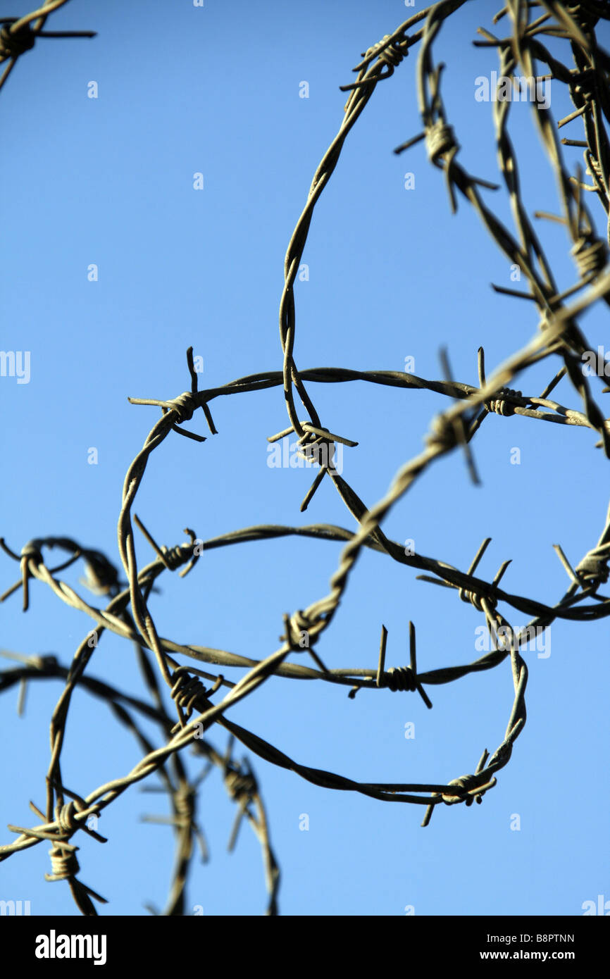 tangled spiral barbed wire fence against blue sky in sun Stock Photo ...
