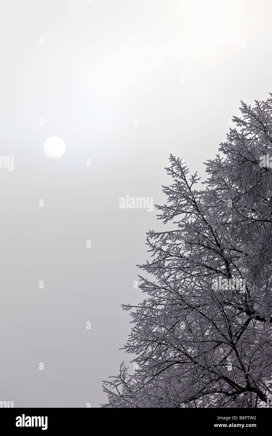 Sun on a frosty winter day Stock Photo - Alamy