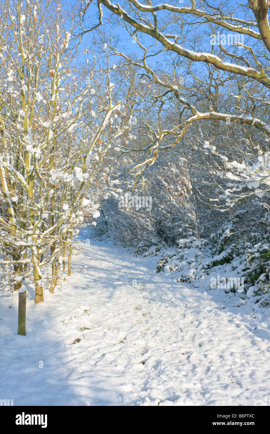 Covered trail hi-res stock photography and images - Alamy