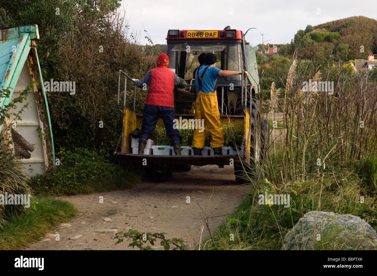 Flower pickers hitching a ride on the back of a tractor containing ...