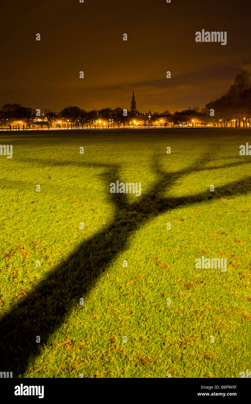 Scotland city night park tree hi-res stock photography and images - Alamy