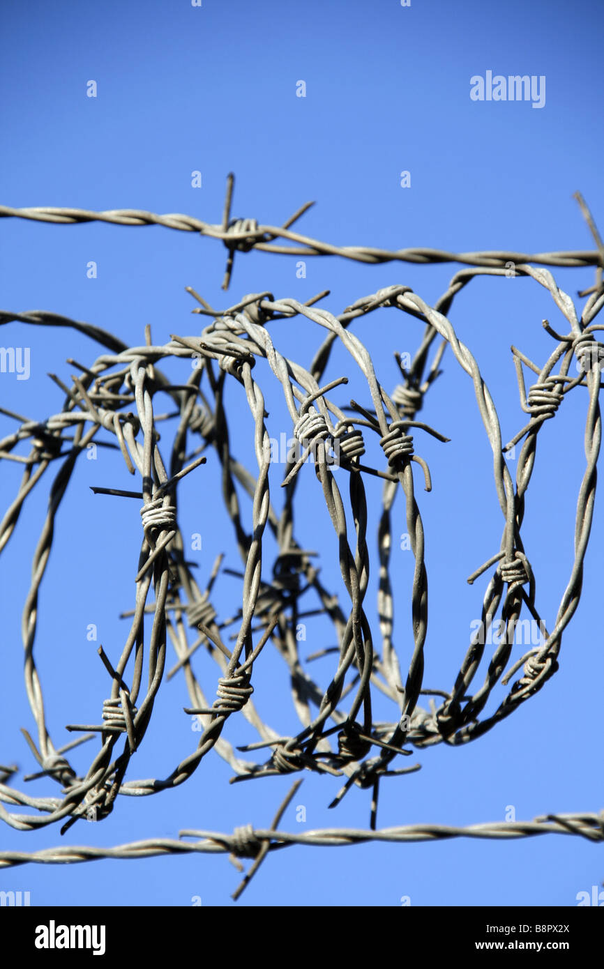 tangled spiral barbed wire fence against blue sky in sun Stock Photo ...