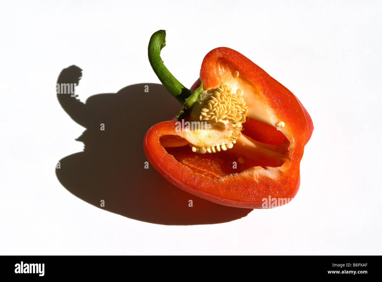 Cross section of a stem hi-res stock photography and images - Alamy