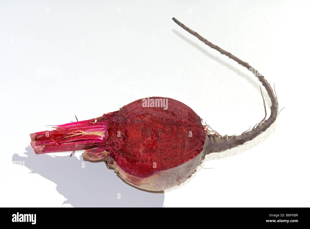 cross-section of a red beet on white background Stock Photo - Alamy
