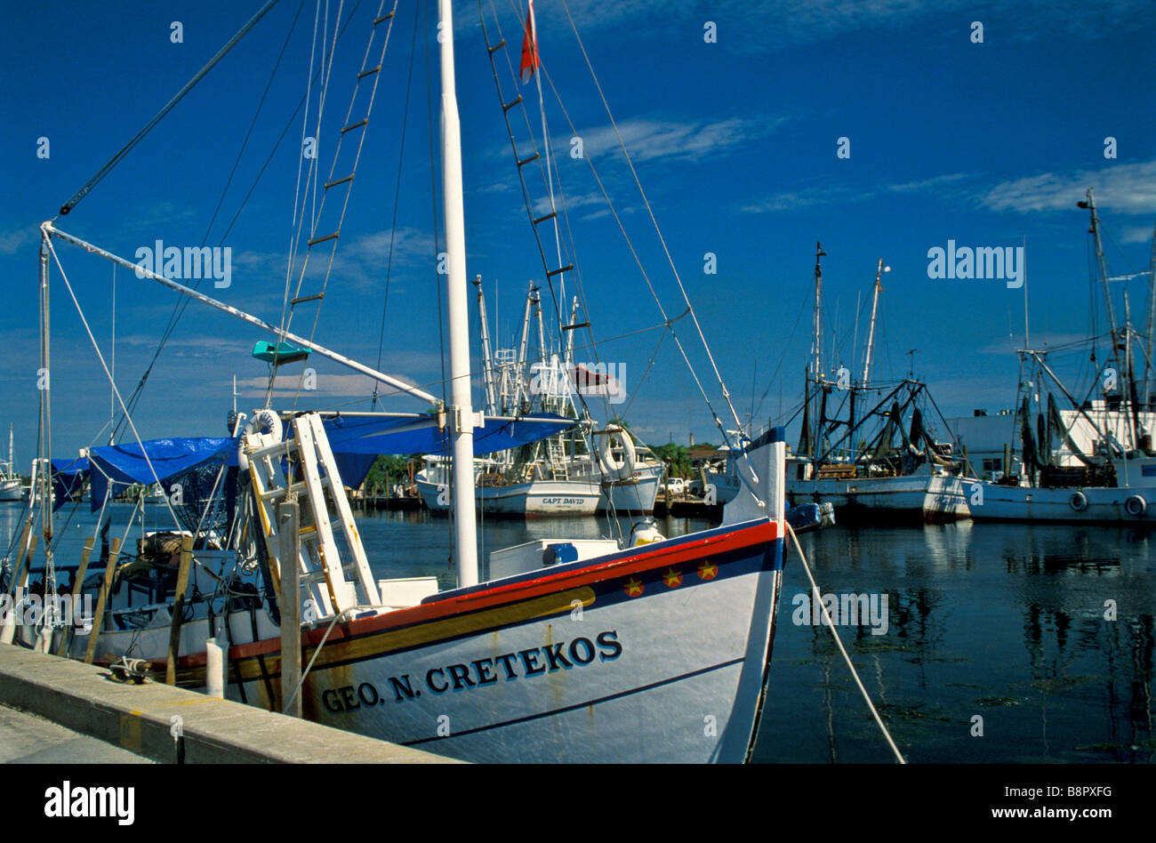 Springs fl traditional greek diving hi-res stock photography and images ...