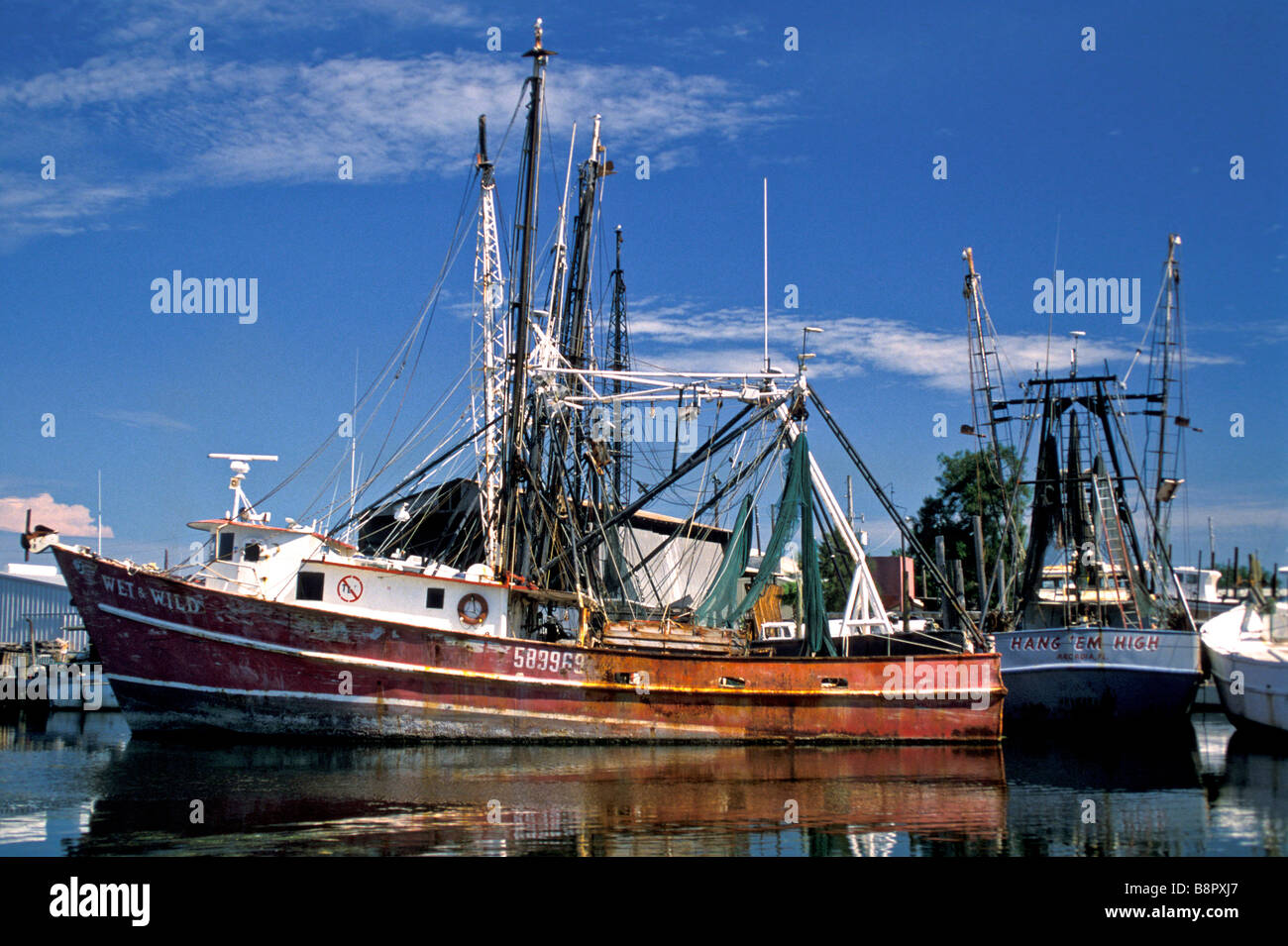 Tarpon Springs Fl shrimp boats docked near Sponge Docks Florida ...