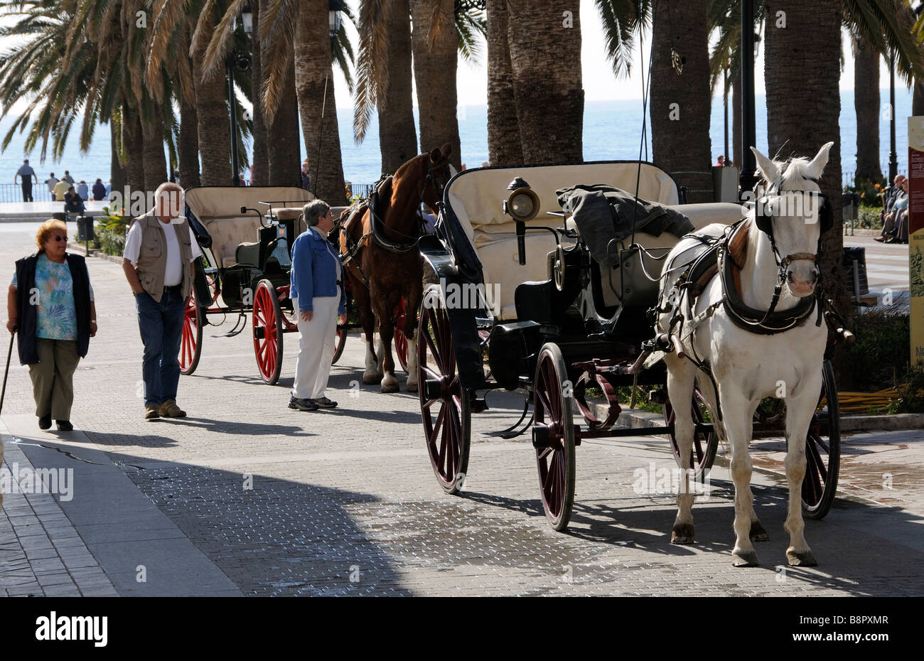 Horse drawn taxi in the town centre of Nerja in southern Spain wait for ...