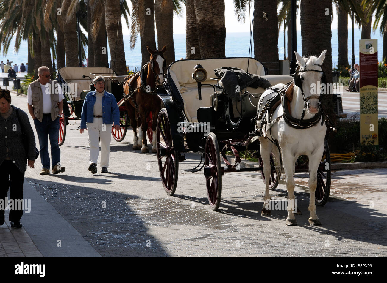 Horse drawn taxi in the town centre of Nerja in southern Spain wait for ...