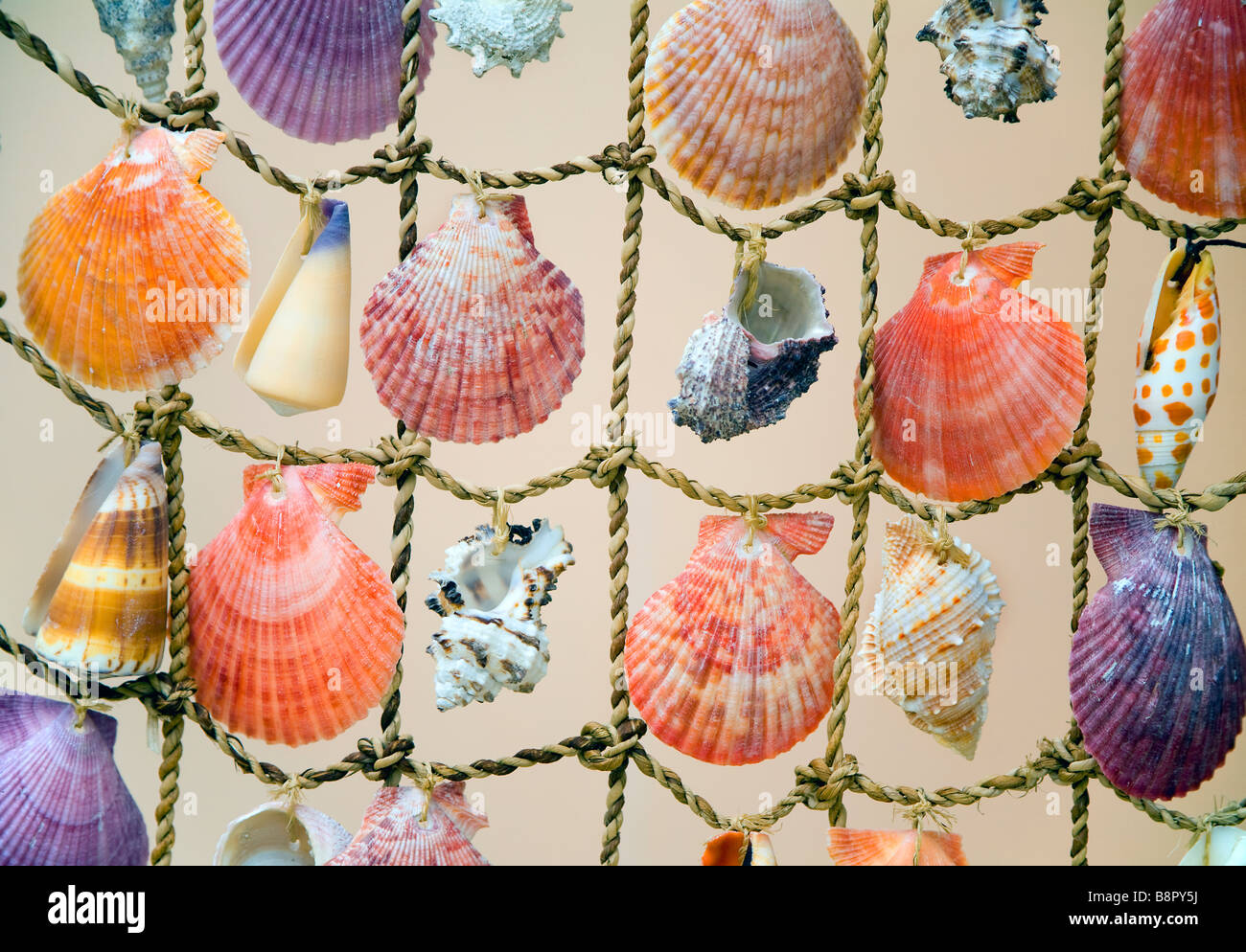 ethnic decorative ornament net with seashells Stock Photo - Alamy