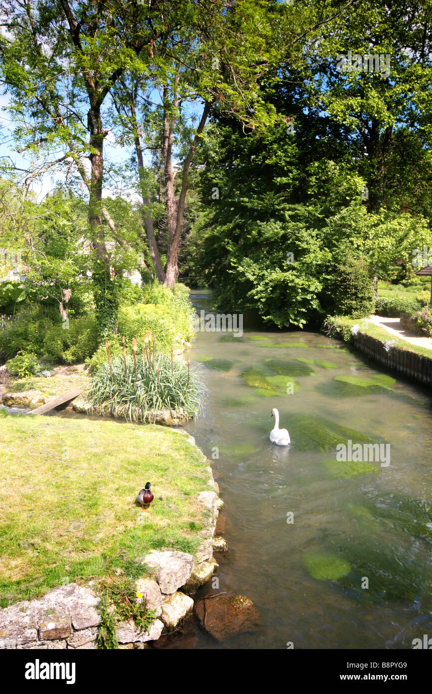 garden with stream Stock Photo - Alamy