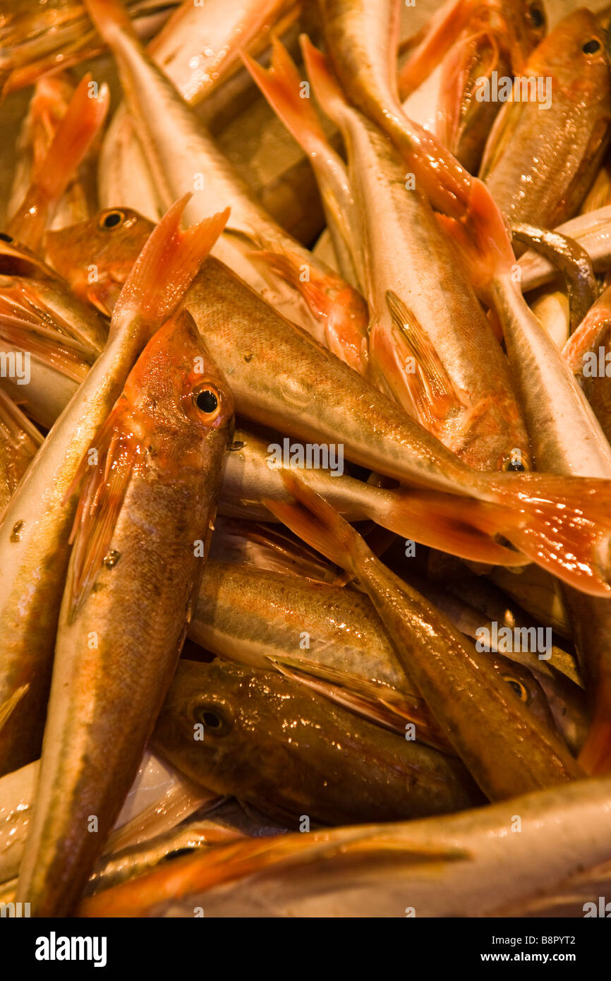 French fish market hi-res stock photography and images - Alamy