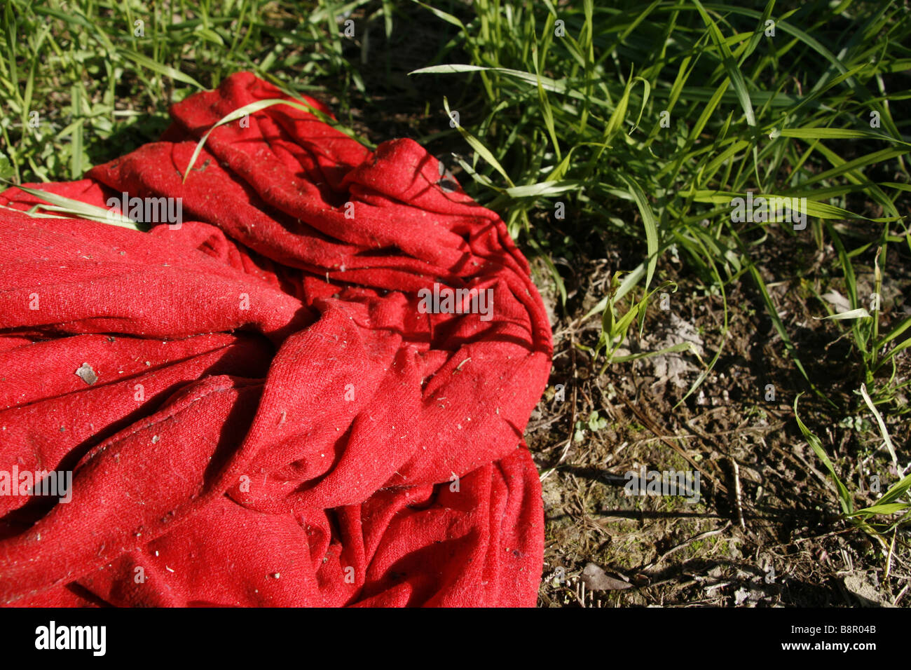 one red jumper in undergrowth grass in field Stock Photo - Alamy