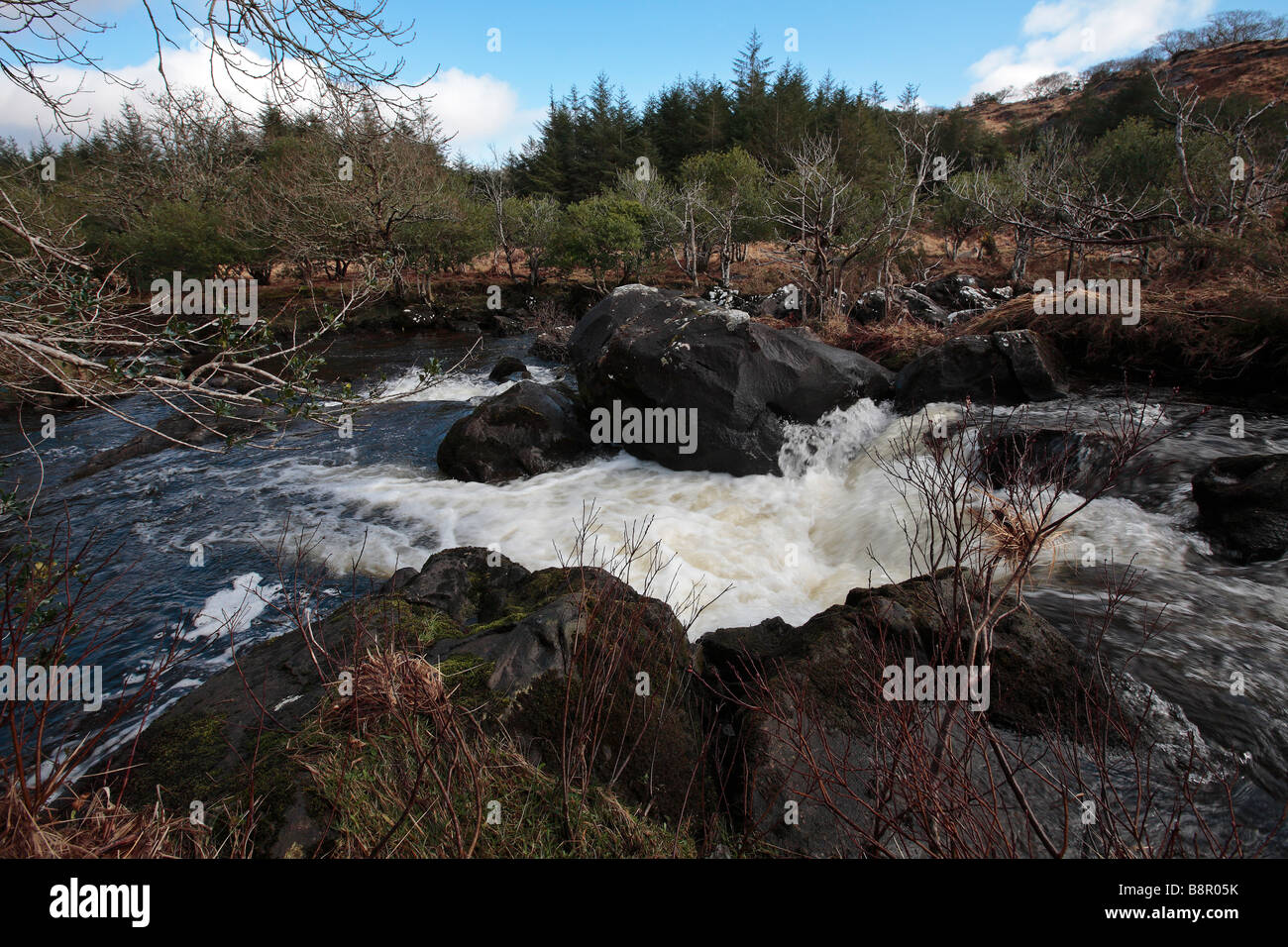 Cork trees in valley hi-res stock photography and images - Alamy