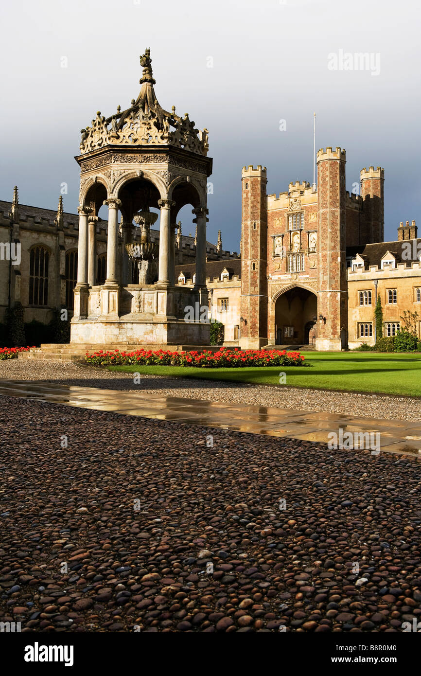 Trinity college courtyard hi-res stock photography and images - Alamy