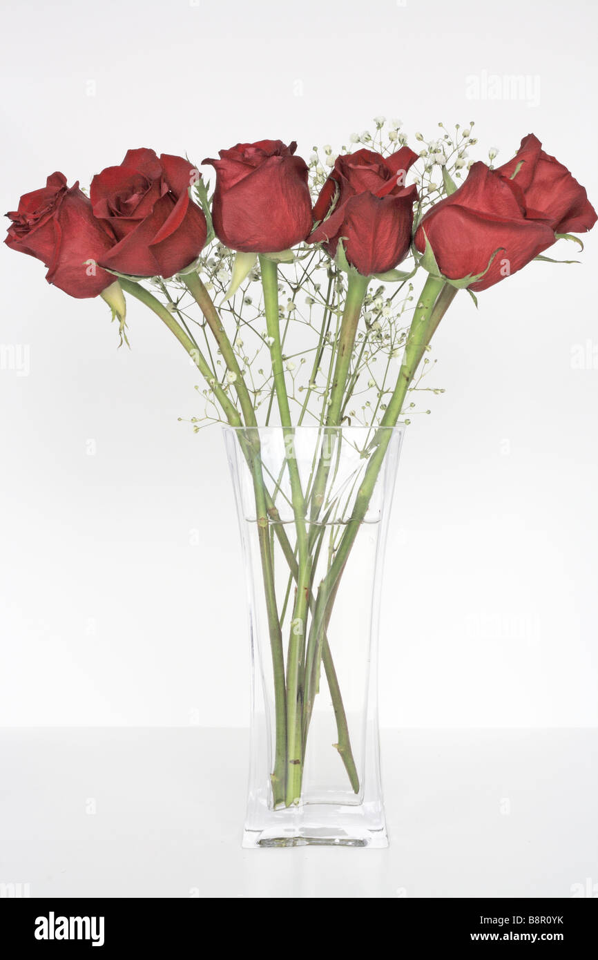 red roses in a vase Stock Photo - Alamy