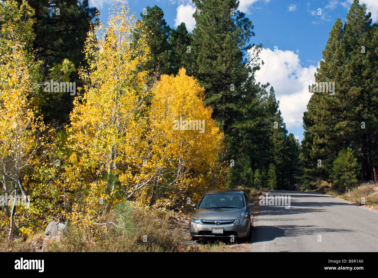 Sierra nevada fall hi-res stock photography and images - Alamy