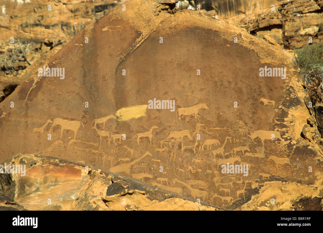 rock paintings of Twyfelfontein, Roch with several animal paintings ...