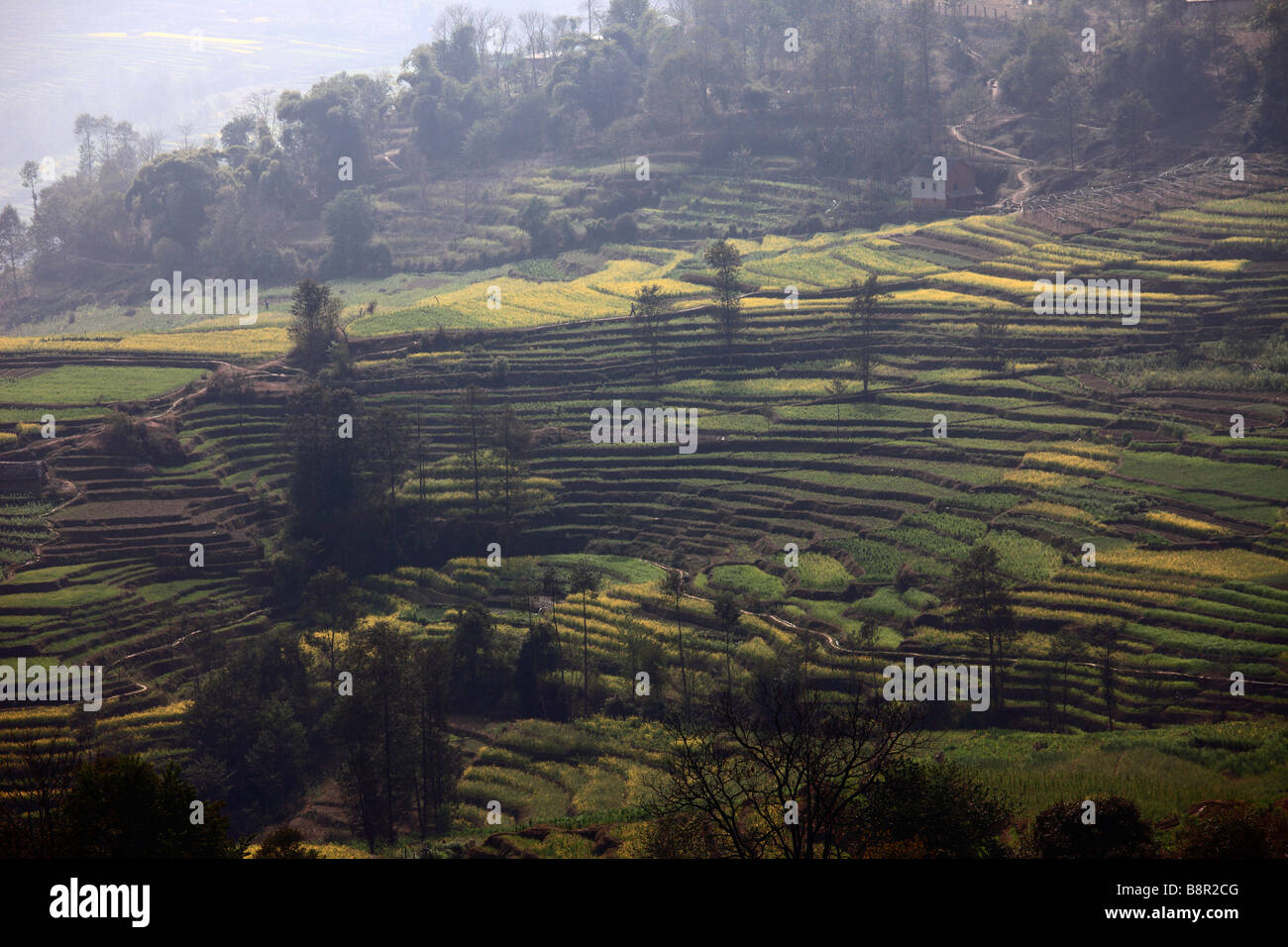 Nepal Kathmandu Valley rural scenery at Pharping Stock Photo - Alamy