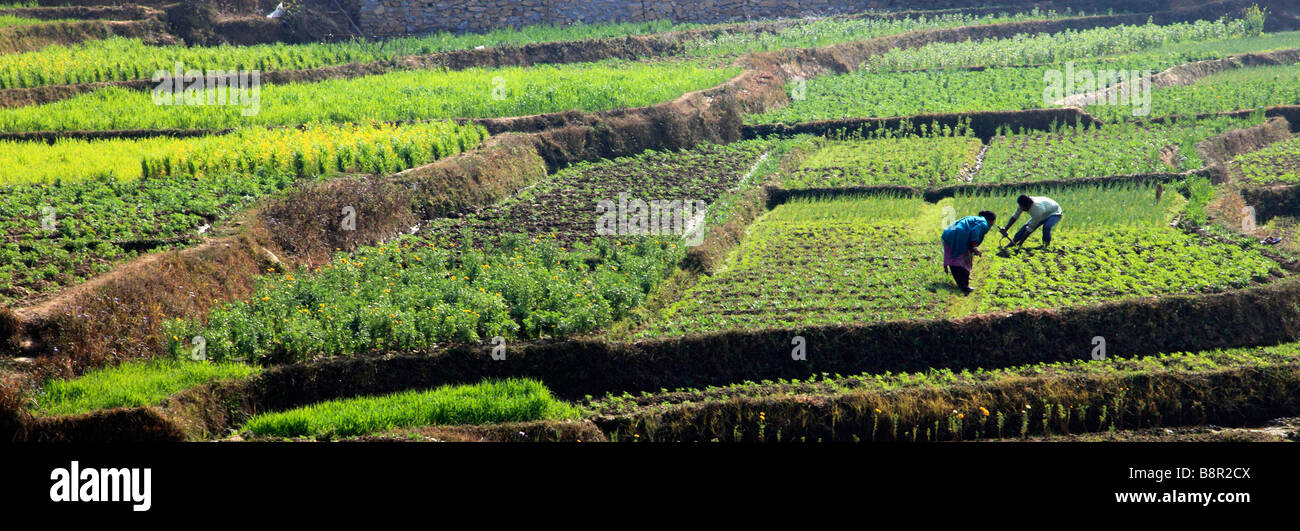 Nepal Kathmandu Valley rural scenery at Ichangu Stock Photo - Alamy