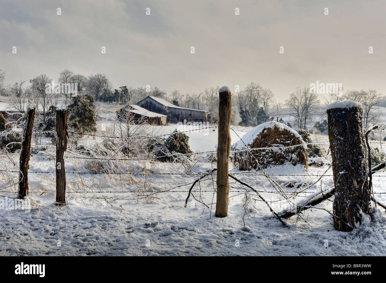 Ice farm hi-res stock photography and images - Alamy