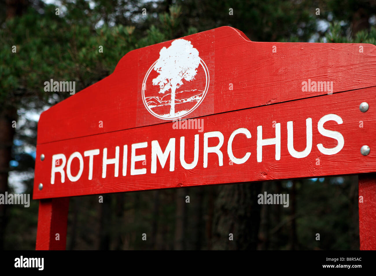 Rothiemurchus estate cairngorms hi-res stock photography and images - Alamy