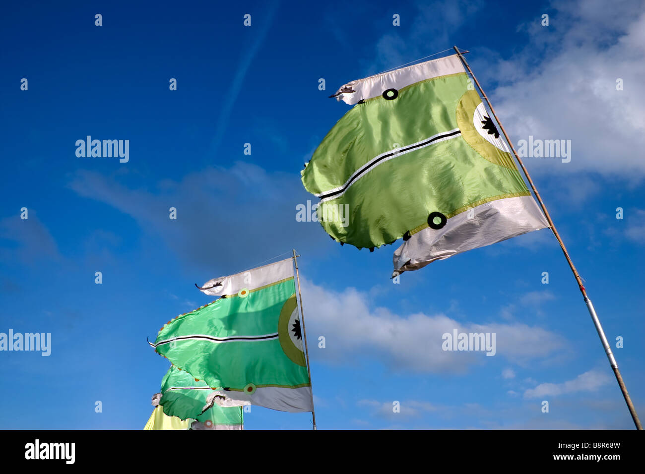Flags on display at Lloyd Park Croydon Surrey Stock Photo - Alamy