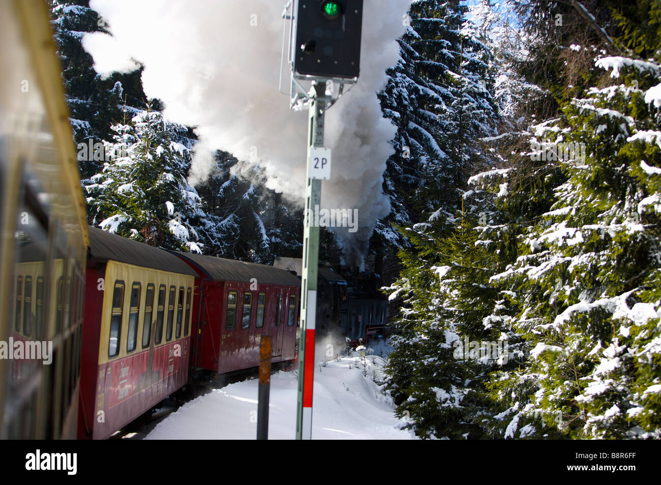 Train through forest hi-res stock photography and images - Alamy