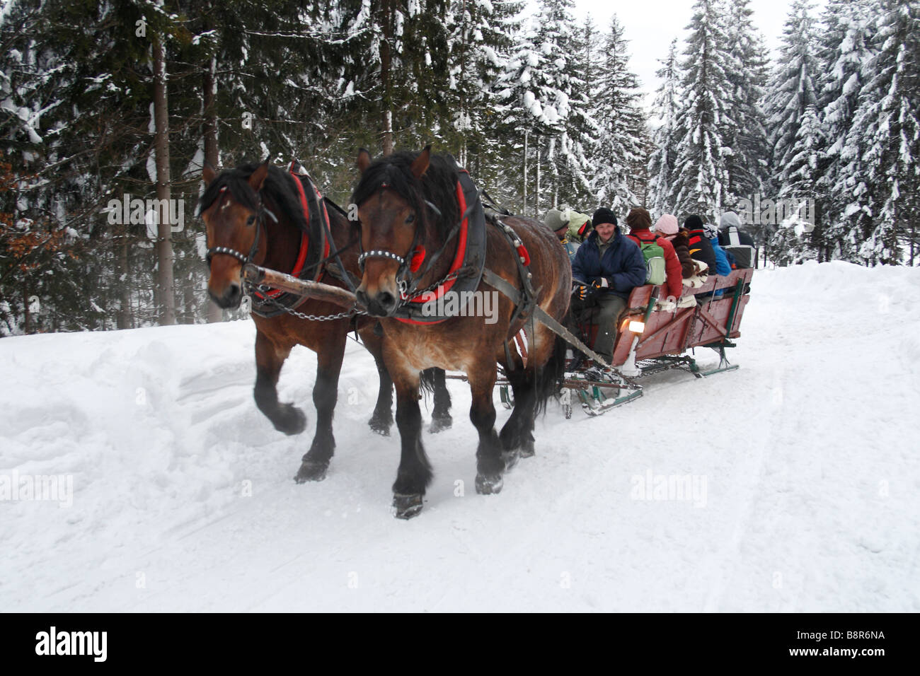 Sleighs hi-res stock photography and images - Alamy