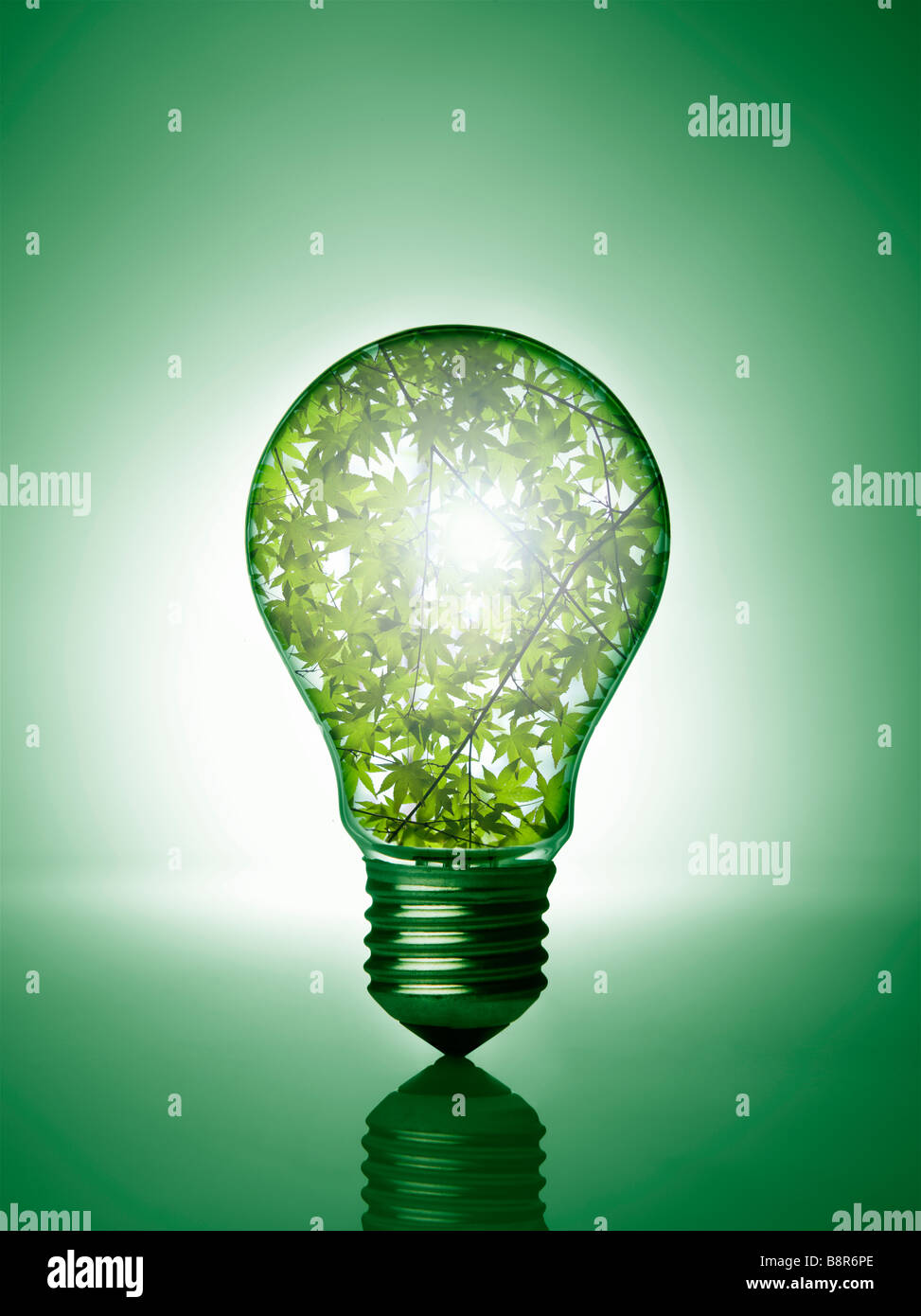 Plant inside bulb Stock Photo - Alamy
