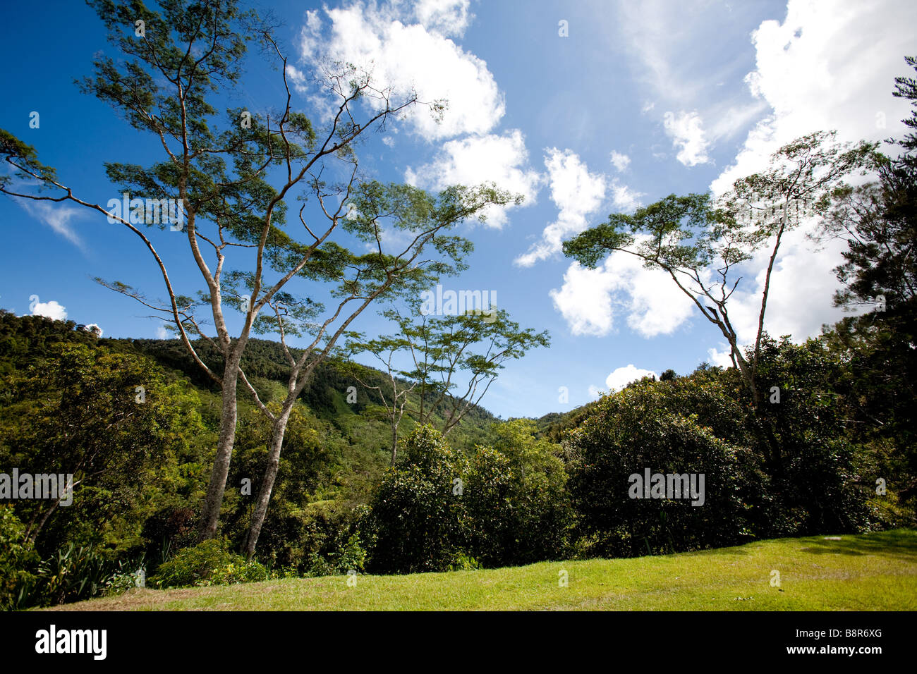 A tropical mountain landscape in Papua Indonesia Stock Photo - Alamy