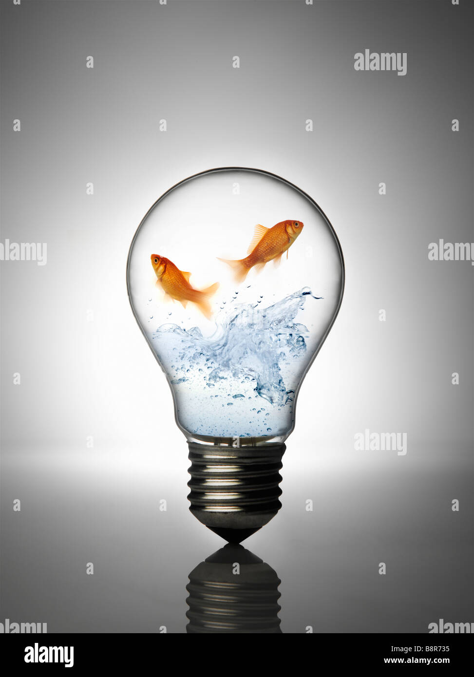 goldfish inside bulb Stock Photo - Alamy