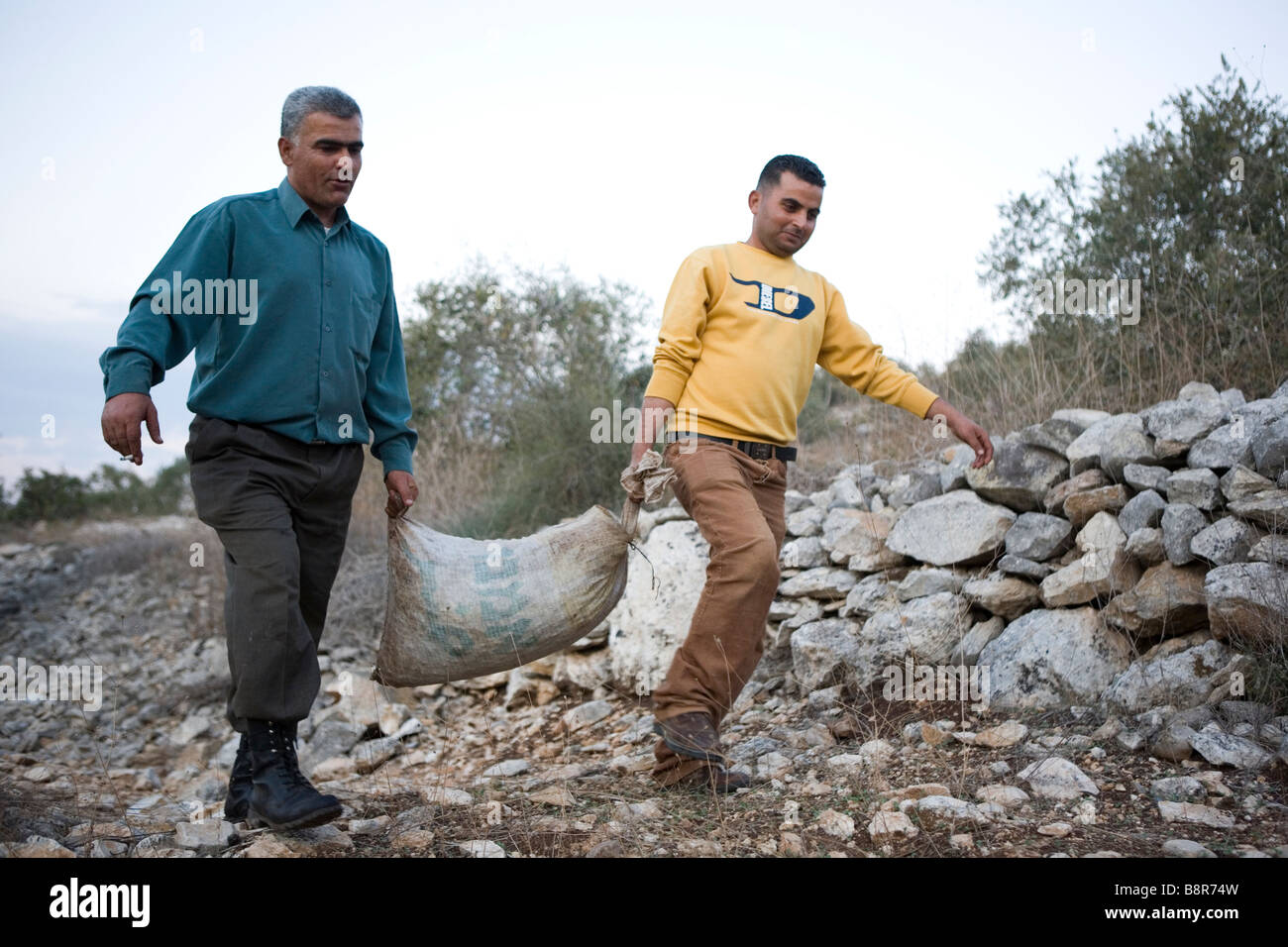 Nabil Hassan Shakh Abrahim 40, olive farmer, West Bank, Palestine Stock ...