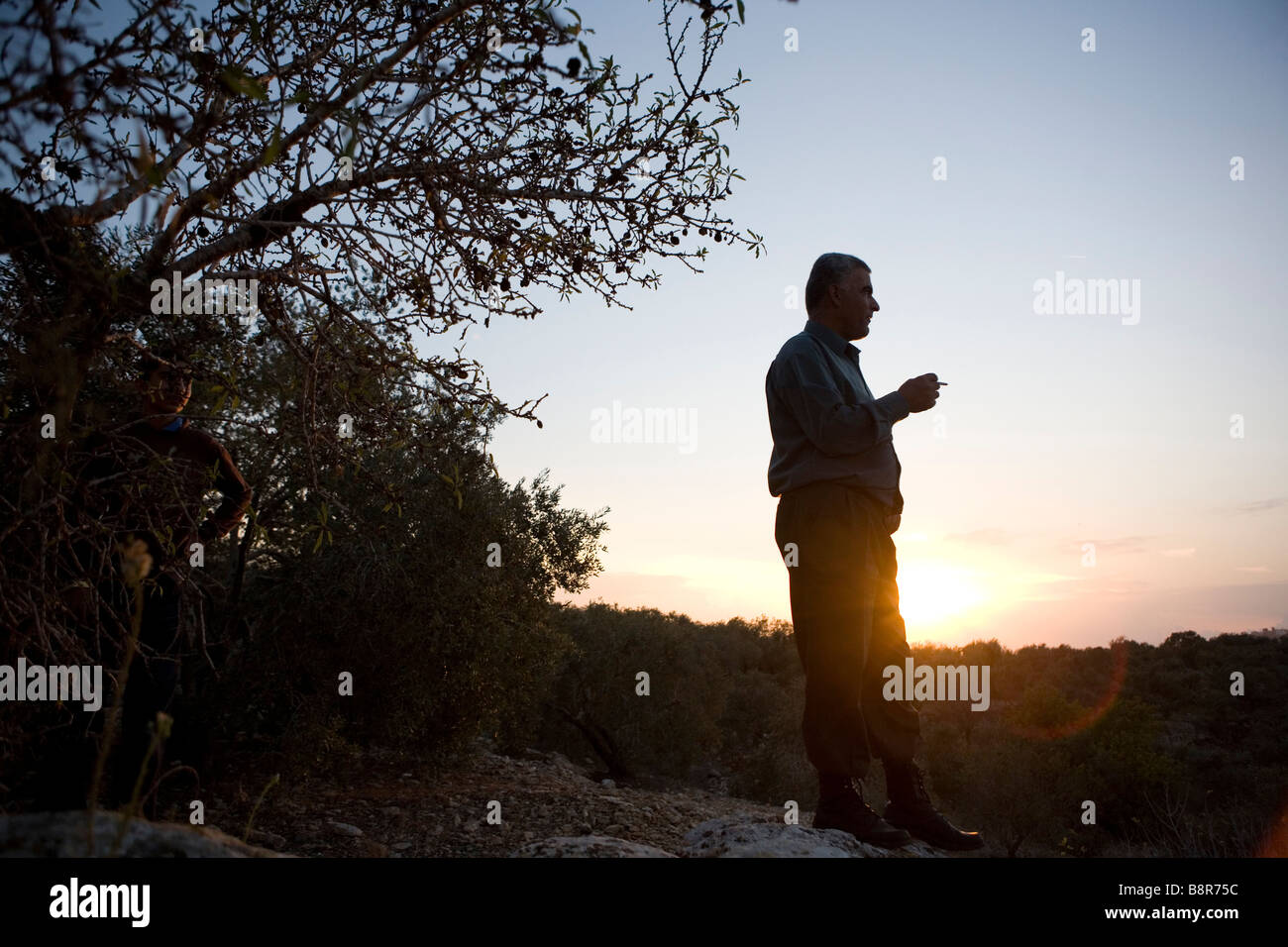 Nabil Hassan Shakh Abrahim 40, olive farmer, West Bank, Palestine Stock ...